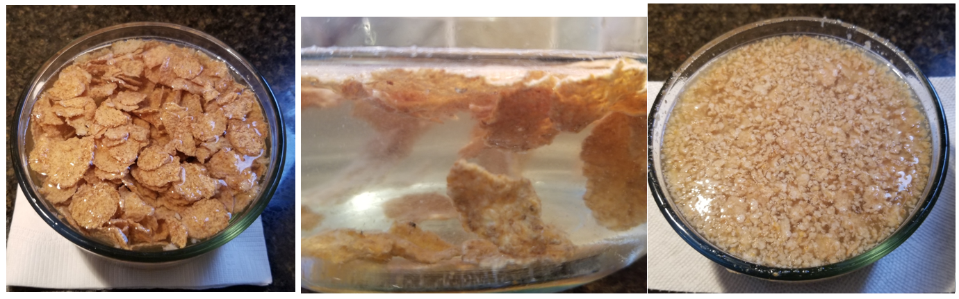 Find Iron in Your Food | Dowling Magnets